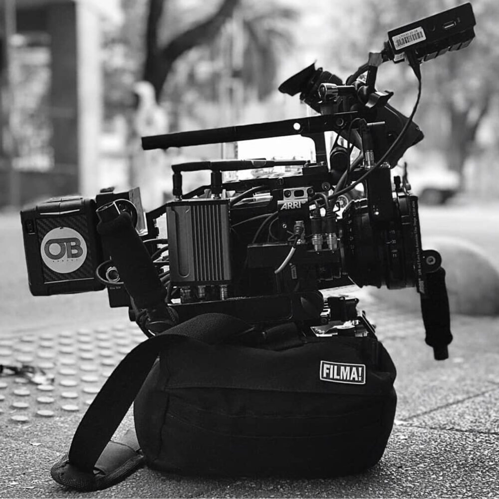 ANIMALFLAIR® | Diseñador Gráfico, Santiago de Chile